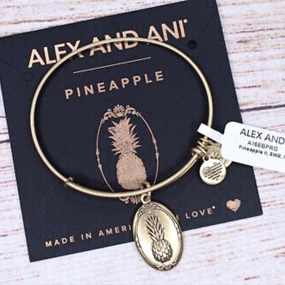 Alex and Ani | Jewelry | New Nwt Alex And Ani Pineapple Silver Bracelet ...